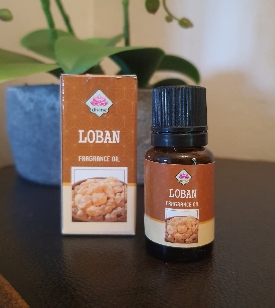 Divine Loban Fragrance Oil – The Guru's Hut
